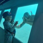 Zorky Yellow Semi Submarine and Zenobia Wreck 2 hours Shared Tour - What Travelers Are Saying