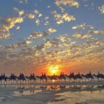 1 Hour Broome Sunset Camel Tour - Learning and Extras