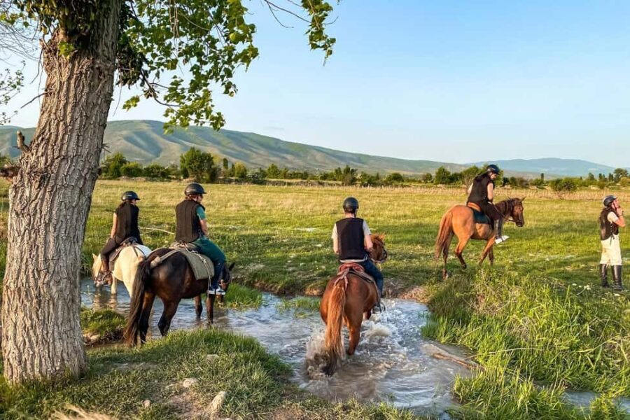 1-Hour Horse Riding Tour at Palomino Ranch Near Tbilisi - Key Points