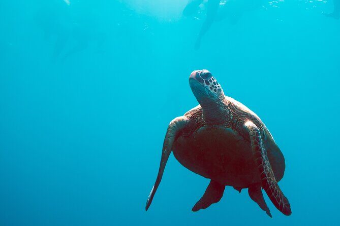 2 Day & 2 Night Whitsundays Sailing Adventure on Broomstick - Frequently Asked Questions