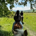 2-hour horse riding tour at Palomino Ranch Near Tbilisi - Authenticity and Value