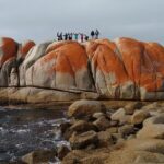 7-Day Super Value Tour of Tasmania: Explore Tasmania's West and East Coasts - Who Should Consider This Tour?