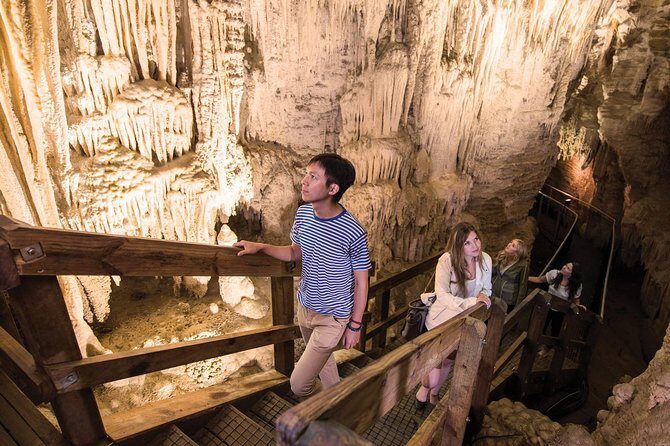 90-Minute Guided Ruakuri Cave Tour Waitomo - A Detailed Look at the Tour Itinerary