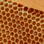 A day as a beekeeper: an adventure among mountains and nature - Who Should Consider This Tour?