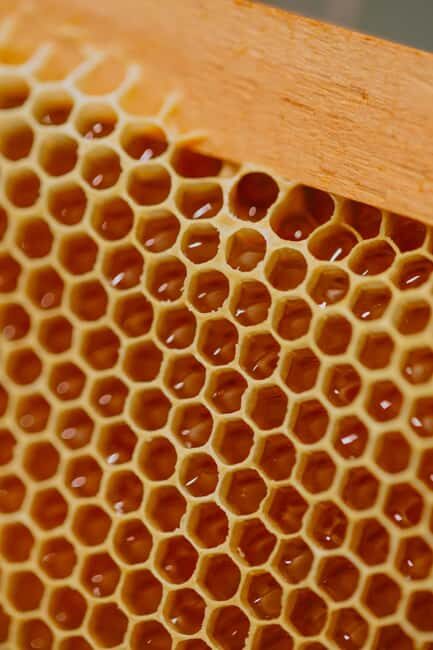 A day as a beekeeper: an adventure among mountains and nature - Who Should Consider This Tour?