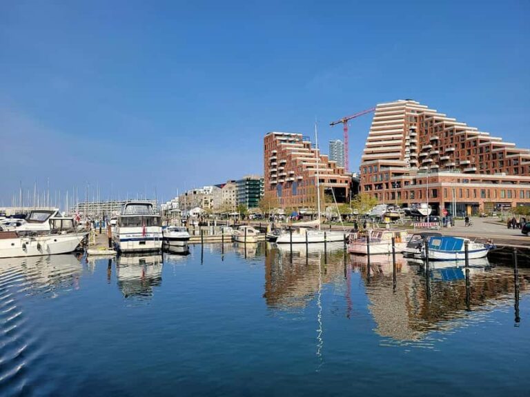 Aarhus: Harbour Cruises with local guide - Authentic Feedback & Real Traveler Insights