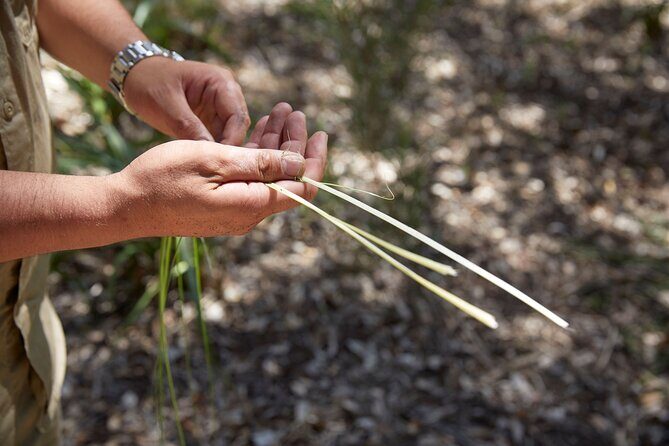 Aboriginal Heritage Walk - Royal Botanic Gardens Victoria, Melbourne Gardens - The Value of the Experience: Cost and Cultural Respect