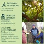Abruzzo L'Aquila: e-bike tour in the shade of centuries-old oak trees - Discovering the World of Bees