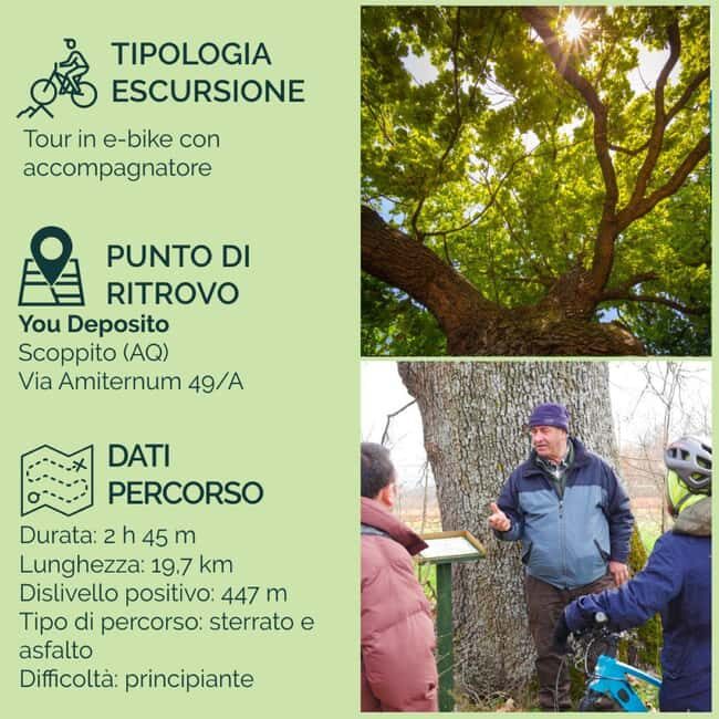 Abruzzo L'Aquila: e-bike tour in the shade of centuries-old oak trees - Discovering the World of Bees
