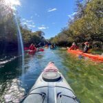 Adelaide Dolphin Sanctuary and Ships Graveyard Kayak Tour - The Itinerary Breakdown