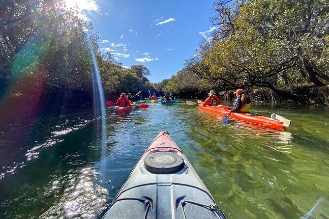 Adelaide Dolphin Sanctuary and Ships Graveyard Kayak Tour - The Itinerary Breakdown
