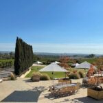 Adelaide Hills and Hahndorf - Half Day Private Tour - The Tour Experience in Detail