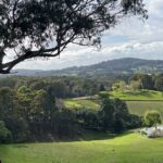 Adelaide Hills Nature Highlights Self-Guided e-Bike Tour - Authentic Experiences and Practical Insights