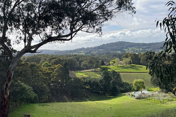Adelaide Hills Nature Highlights Self-Guided e-Bike Tour - Authentic Experiences and Practical Insights