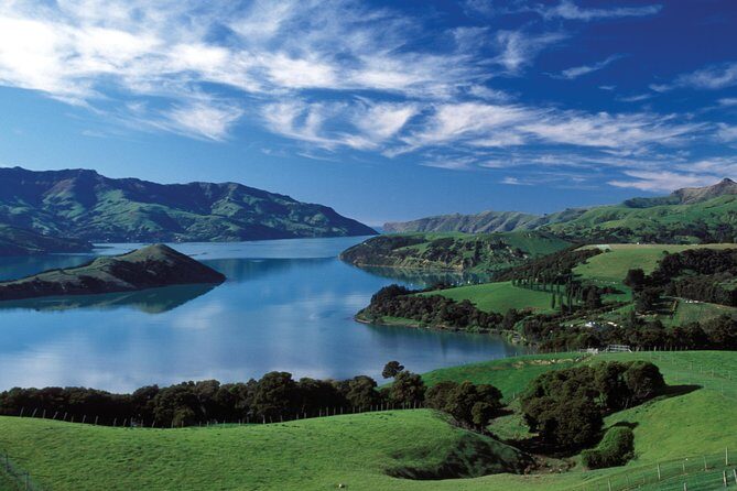 Akaroa Shore Excursion: Banks Peninsula, Christchurch City and Giants House Tour - Honest Feedback from Travelers