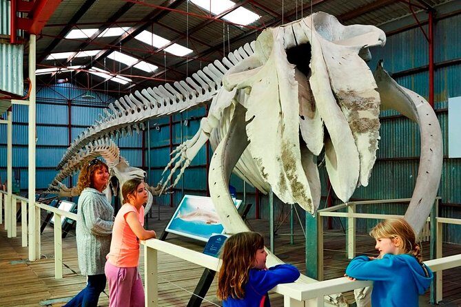 Albany's Historic Whaling Station Admission Ticket - Detailed Tour Breakdown
