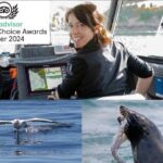 Albatross, seals, and sea birds-Wildlife Cruise - Who Should Consider This Tour?