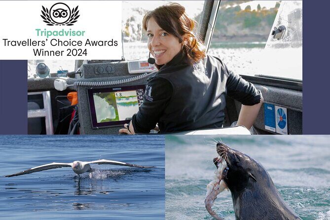Albatross, seals, and sea birds-Wildlife Cruise - Who Should Consider This Tour?