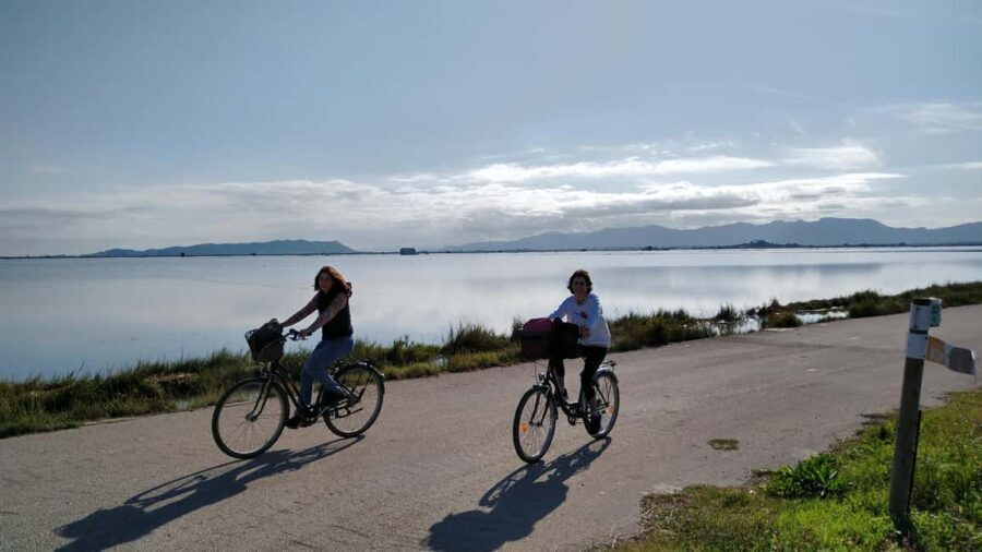 Albufera Complete Bike Tour-Rice Fields, Lake, Boat & Paella - Detailed Review of the Albufera Complete Bike Tour