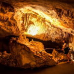 Alcudia: Caves of Drach Tour from the North with Boat Trip - Transportation and Group Experience