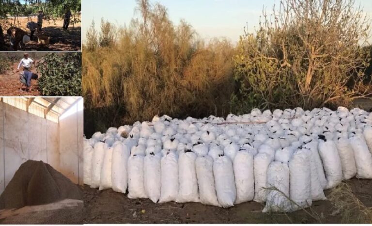 ALGARVE'S CAROB TRAIL - Visiting a Carob Plantation: Seeing where it all begins