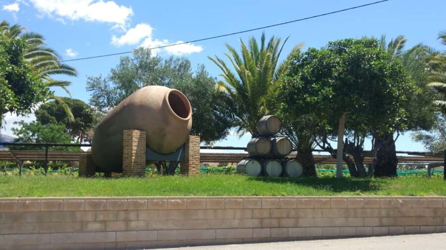 Alicante and Elche: Guided tour of winery + wine tasting / private transportation - The Wines and the Tasting Experience