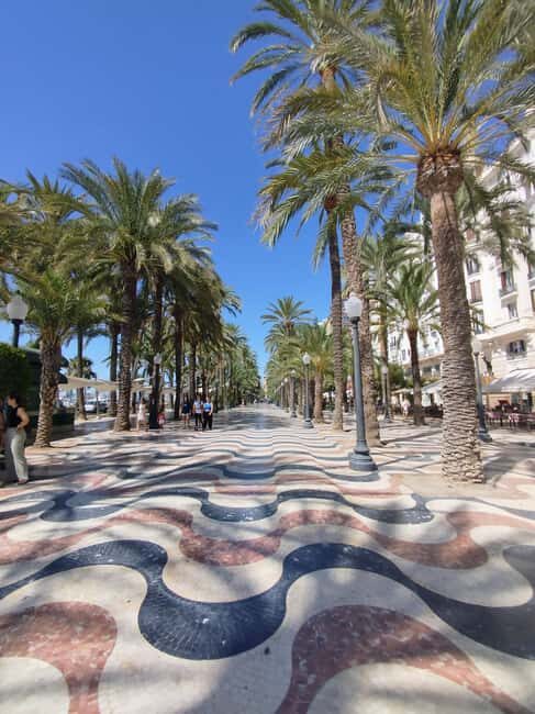 Alicante Essentials: 2-Hour Walking Tour with a Local Guide - The Experience and Value