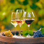 Alicante: Old Winery with Tastings & Gaudí's style of Church - In Summary: Why You Should Consider This Tour