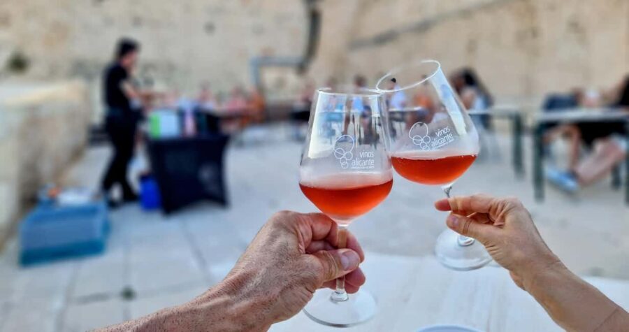 Alicante: Santa Bárbara Castle Alicante Rosé Wine Tasting - The Wine Experience: A Guided Journey into Mediterranean Rosés
