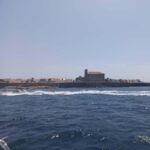 Alicante/Torrevieja: Excursion to Tabarca by ferry, Santa Pola, and Laguna Rosa - The Practicalities and Tips