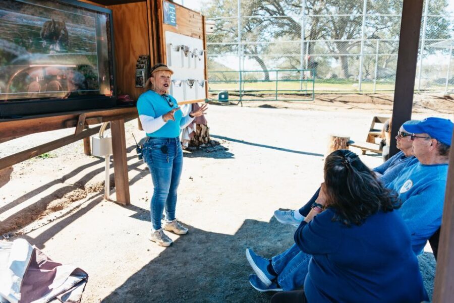 Alpine: Lions Tigers & Bears Animal Sanctuary Guided Visit - How the Tour Is Structured