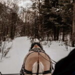 Alta: Sleigh Ride in the Arctic Countryside - Authenticity and Small-Group Charm