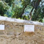 Amalfi Coast: Hike Along the Path of the Lemons - Whats Included and What You Should Consider