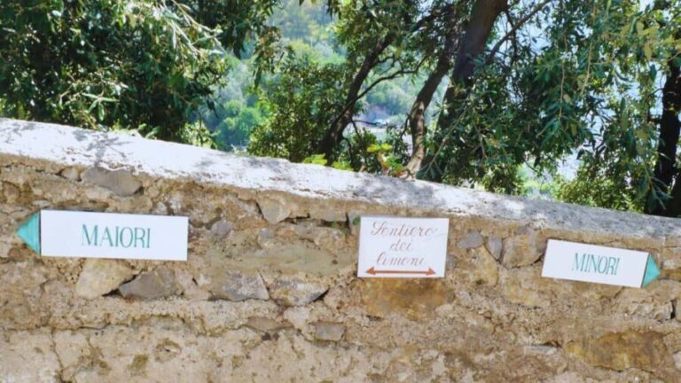 Amalfi Coast: Hike Along the Path of the Lemons - Whats Included and What You Should Consider