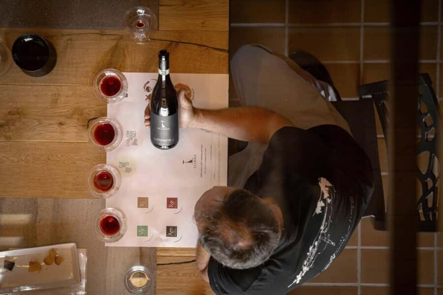 AMARONE: VERTICAL TASTING OF HISTORIC VINTAGES - Who Will Appreciate This Tour?