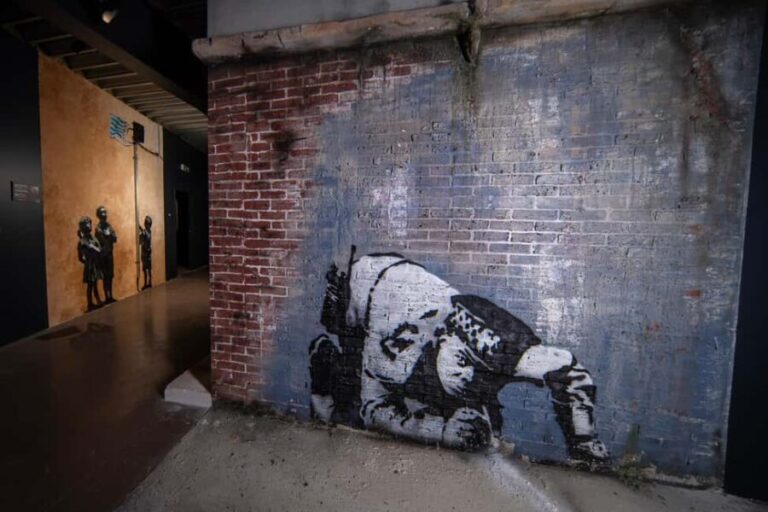Amsterdam: Banksy Museum Entry Ticket - What Youll See