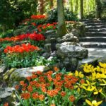 Amsterdam: Keukenhof Gardens Half Day Guided Tour - Exploring Keukenhofs Floral Masterpieces
