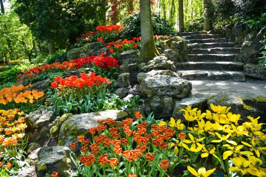 Amsterdam: Keukenhof Gardens Half Day Guided Tour - Exploring Keukenhofs Floral Masterpieces