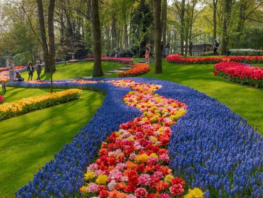 Amsterdam: Keukenhof Gardens & Tulip Fields Private Tour - The Bottom Line: Is This Tour Worth It?