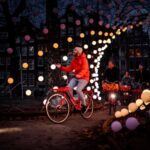 Amsterdam: Light Festival Bike Tour with Guide - Why This Tour Offers Great Value