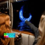 Amsterdam: Light Festival Cruise w/ Hot Drinks & Bite option - The Boat and Comfort