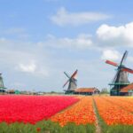 Amsterdam: Zaanse Schans, Windmills & Volendam Private Tour - A Detailed Breakdown of the Itinerary