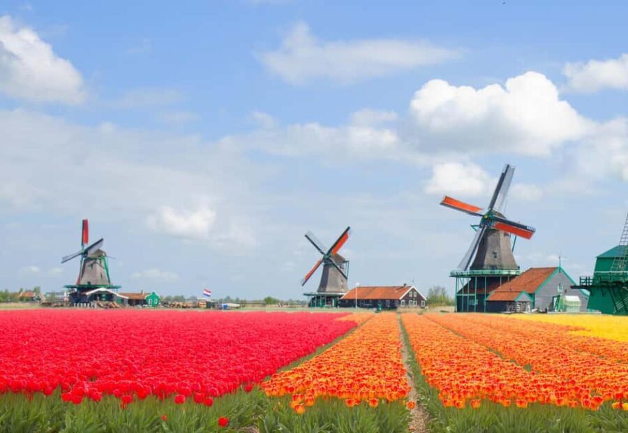 Amsterdam: Zaanse Schans, Windmills & Volendam Private Tour - A Detailed Breakdown of the Itinerary