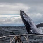 Anchorage: Kenai Fjords & Denali National Park 5 Day Tour - How Valuable Is This Tour?