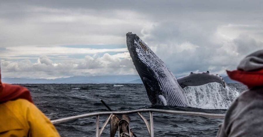 Anchorage: Kenai Fjords & Denali National Park 5 Day Tour - How Valuable Is This Tour?