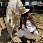 Andalusia, Spain: Horseback Safari with Gourmet Picnic - Why This Tour Represents Great Value