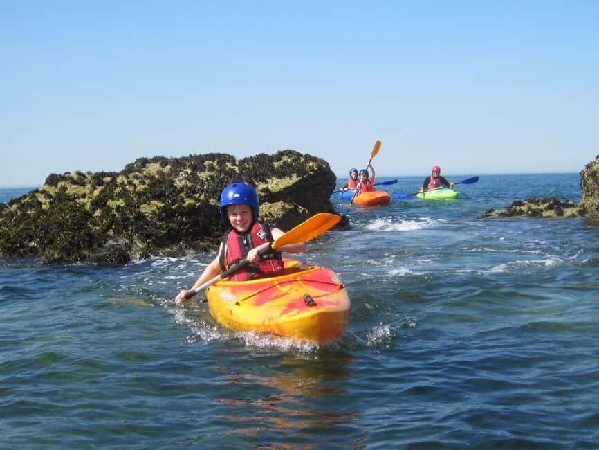 Anglesey: Sea Kayaking on Holy Island - Authentic Encounters and Guest Feedback
