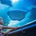 Antalya: Old Town Guided City Tour with Aquarium - What to Expect on the Tour