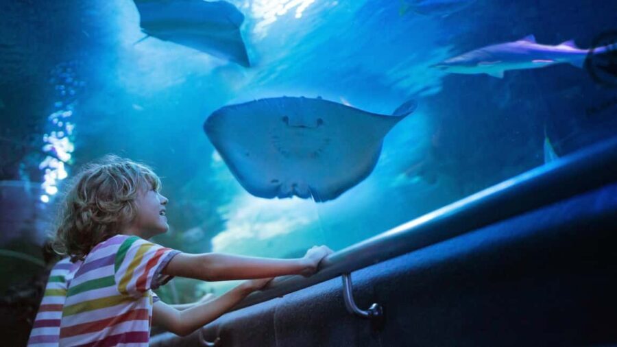 Antalya: Old Town Guided City Tour with Aquarium - What to Expect on the Tour