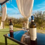Aperitivo e degustazione di vini in vigna alla Cantina Sacco - Who Will Love This?